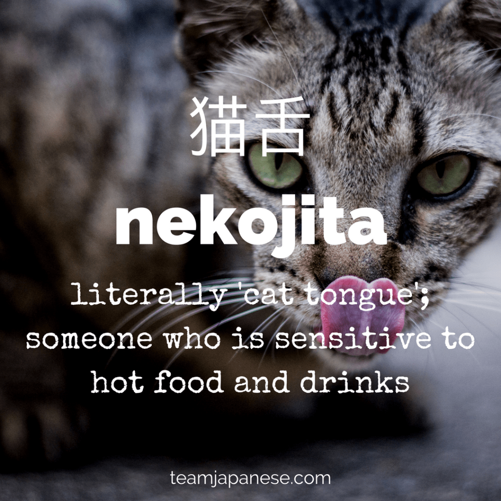 24 Beautiful and Untranslatable Japanese Words - Team Japanese