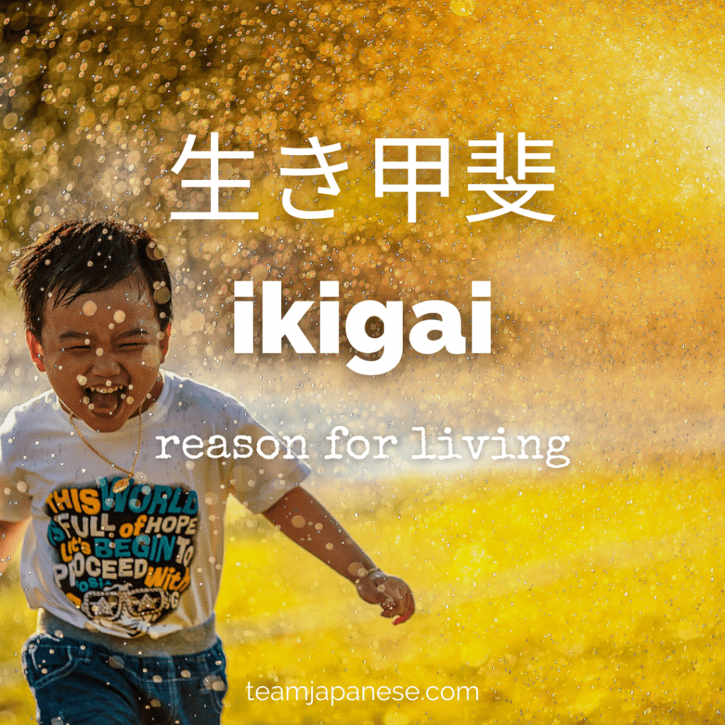 untranslatable japanese words ikigai - Team Japanese