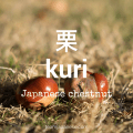 9 Beautiful Japanese Seasonal Words for Autumn - Team Japanese