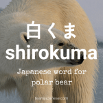 35+ Awesome Japanese Winter Words You Need To Know - Team Japanese