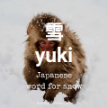 35+ Awesome Japanese Winter Words You Need To Know - Team Japanese