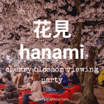 16+ Essential Japanese Words for Spring - Team Japanese