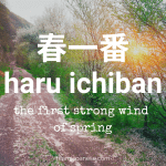 16+ Essential Japanese Words for Spring - Team Japanese
