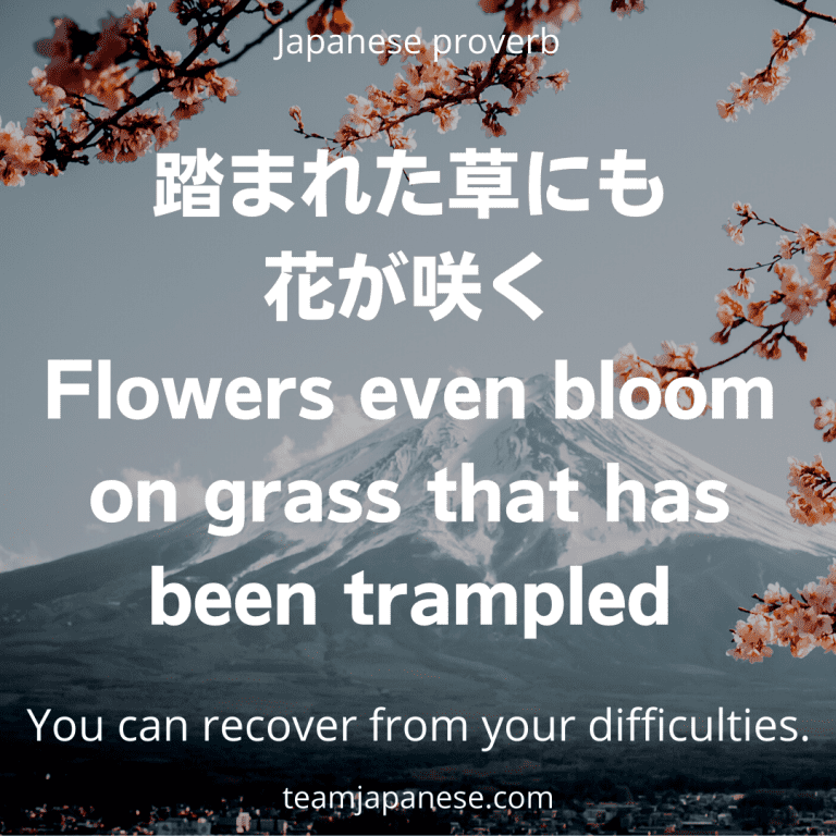 27 Beautiful and Inspirational Japanese Quotes - Team Japanese