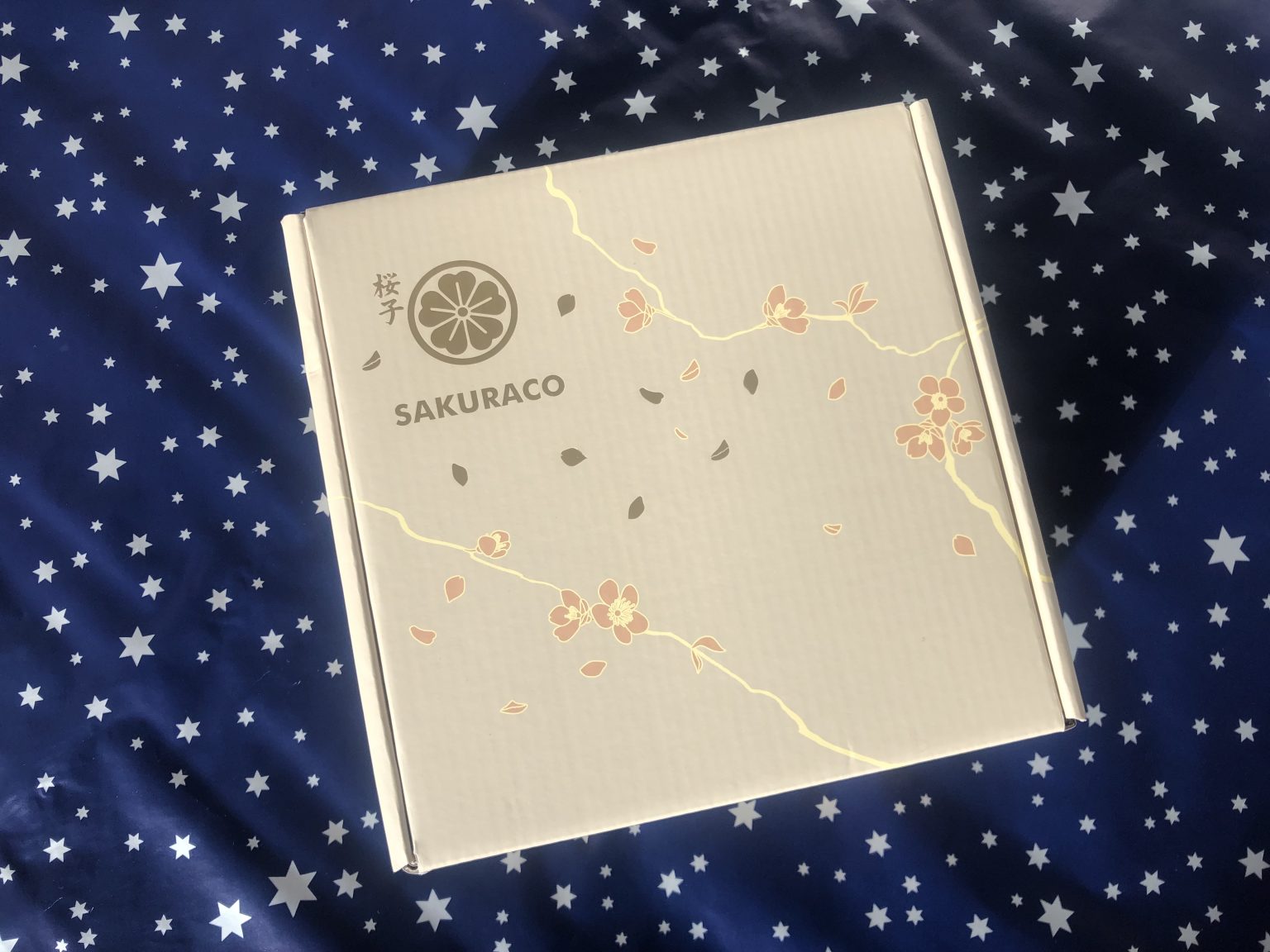Sakuraco Traditional Japanese Snack Box: Peek Inside! [December 2022 ...