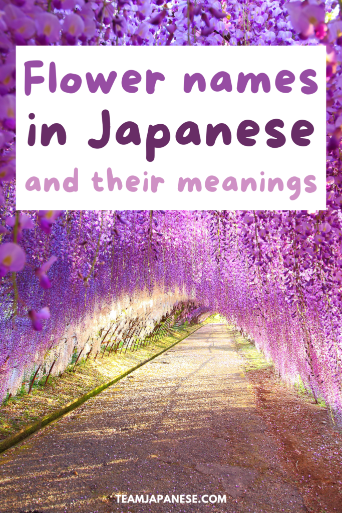 12+ Traditional Japanese Words For Flowers [and Their Meanings] - Team ...