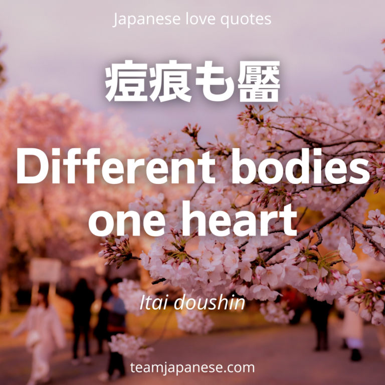 Top Japanese Quotes About Love (for When Romance is in the Air!) - Team ...