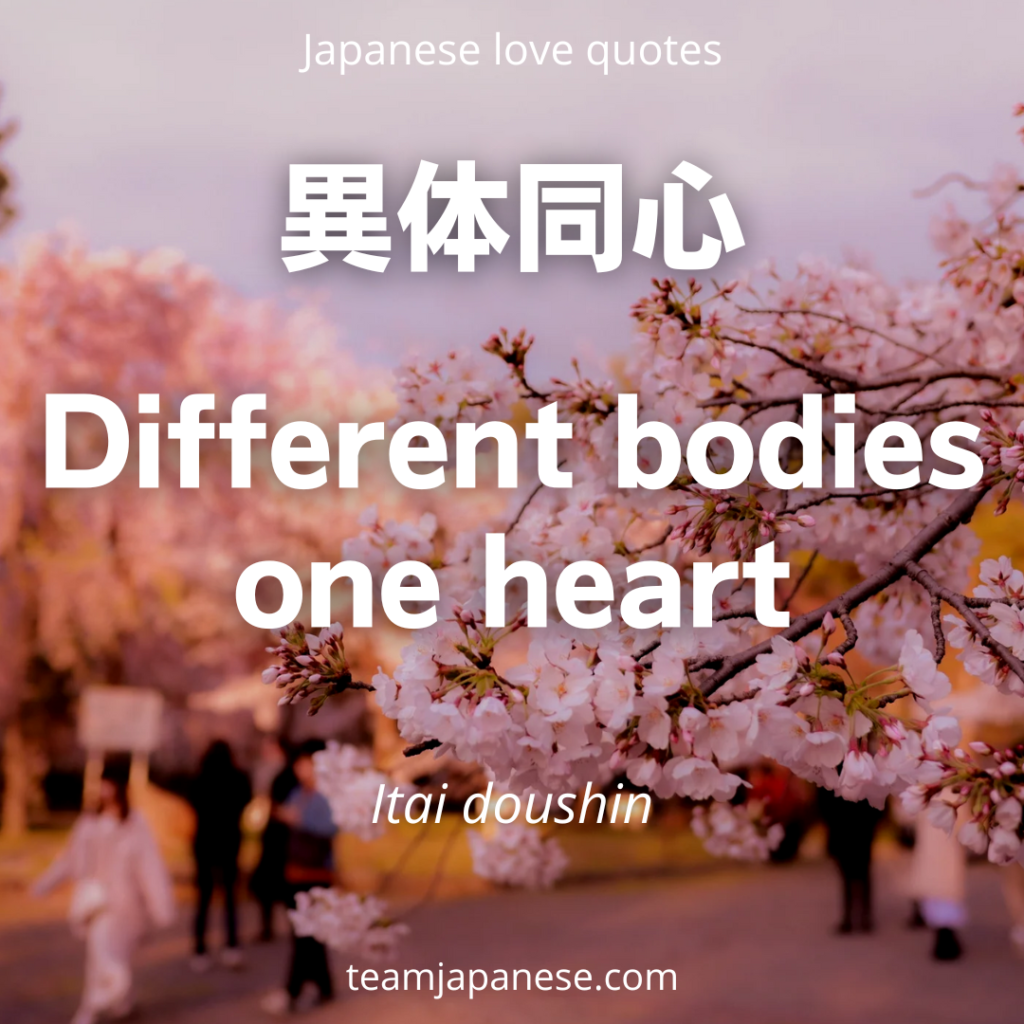 Top Japanese Quotes About Love (for When Romance is in the Air!) - Team ...