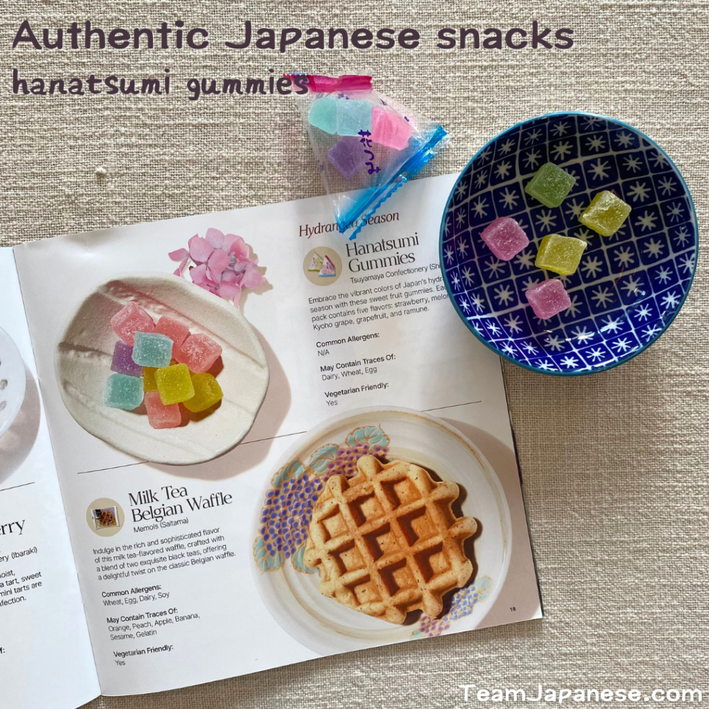 Exploring Authentic Japanese Snacks with Sakuraco Box (Review June 2024 ...