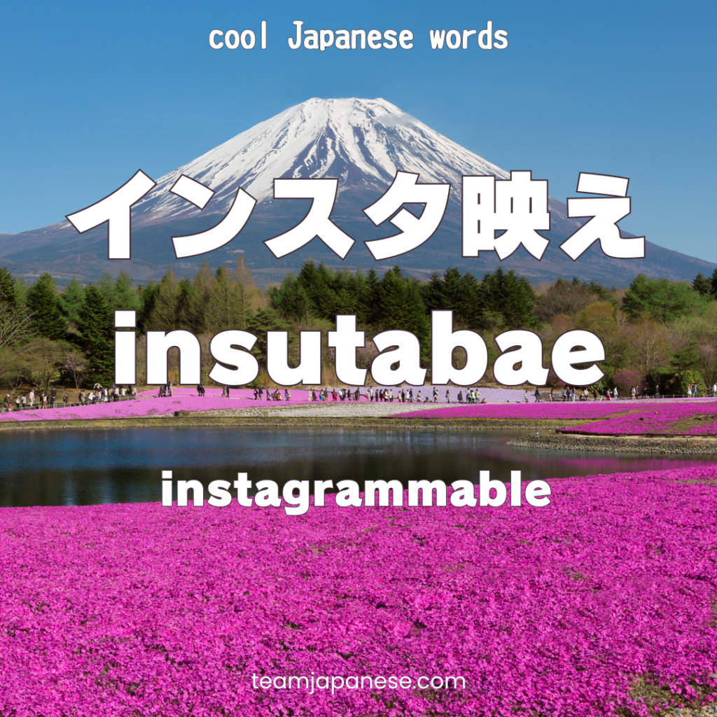 20+ Cool Japanese Words you Won't Learn at School - Team Japanese