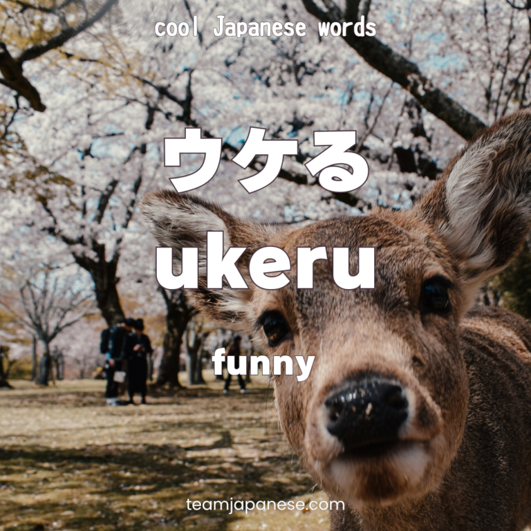 20+ Cool Japanese Words you Won't Learn at School - Team Japanese