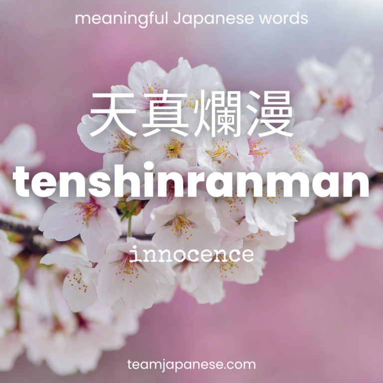20 Meaningful Japanese Words to Deepen Your Outlook - Team Japanese