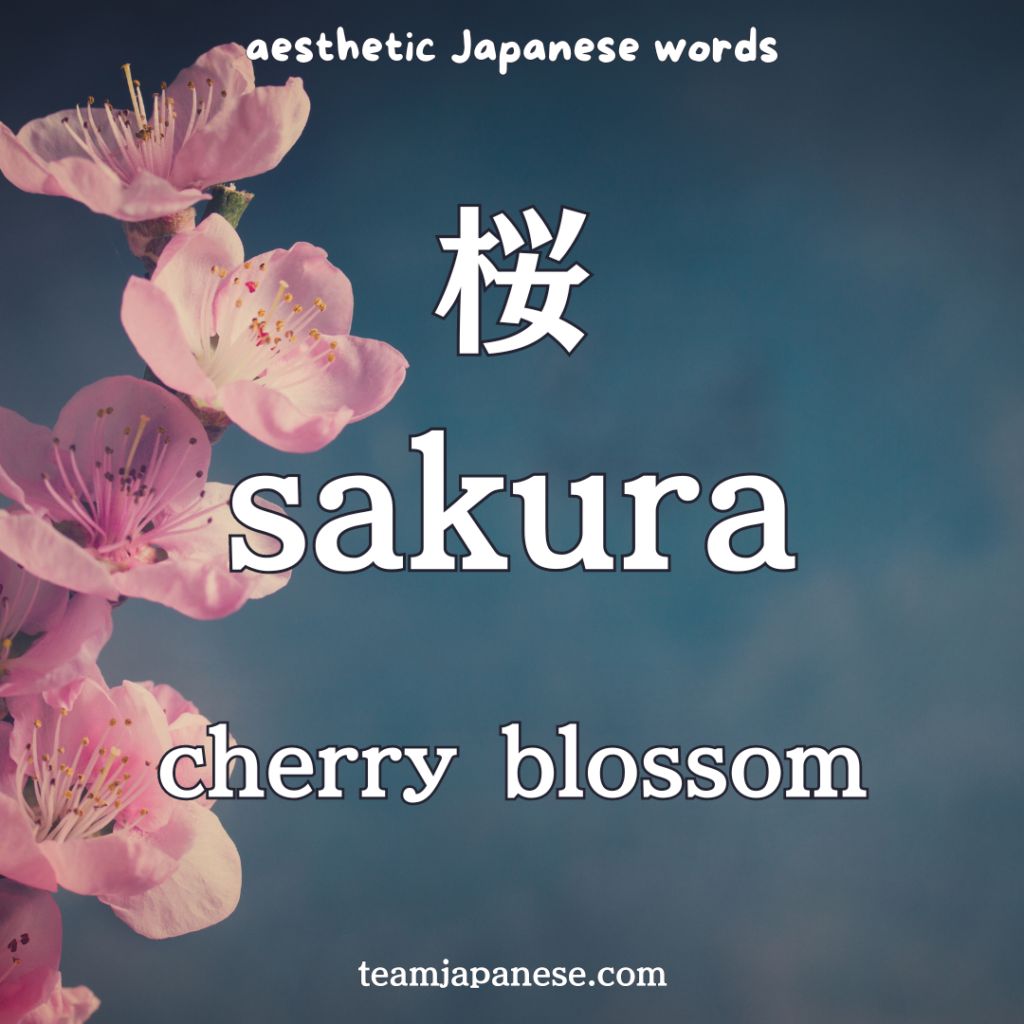 15 Aesthetic Japanese Words and Meanings You Will Love - Team Japanese