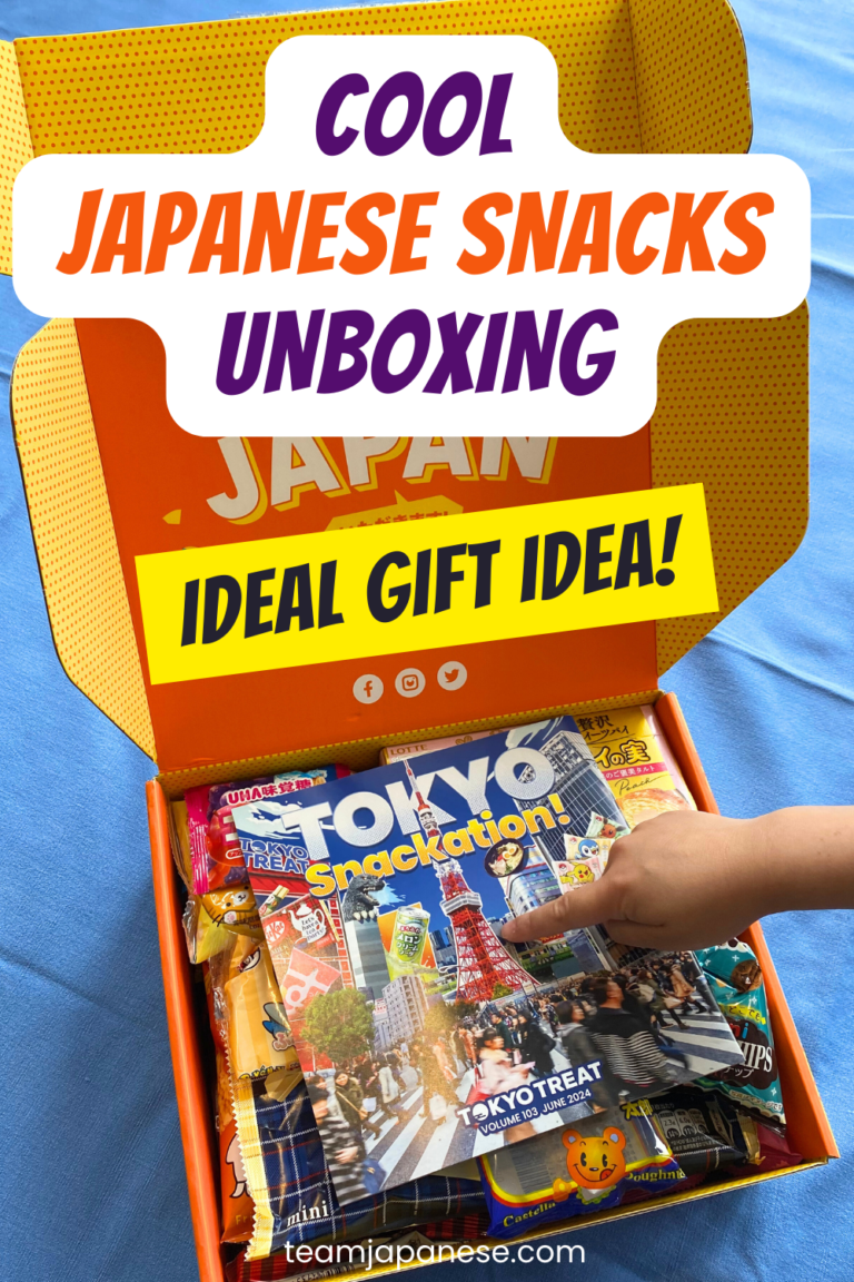 Cool and Cute Japanese Snacks with Tokyo Treat Box (June 2024 Review ...