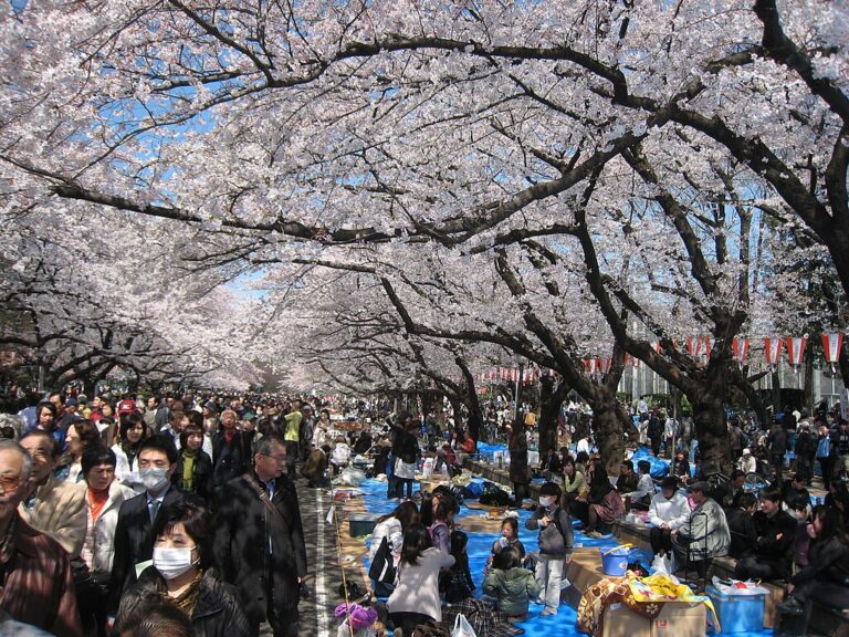 Everything You Need to Know to Celebrate Cherry Blossom Season in Japan ...