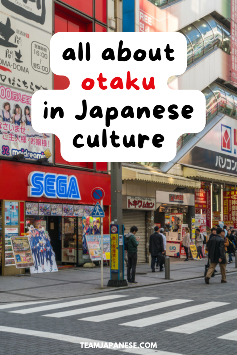 What Does Otaku Really Mean? All About Otaku in Japanese Culture - Team ...
