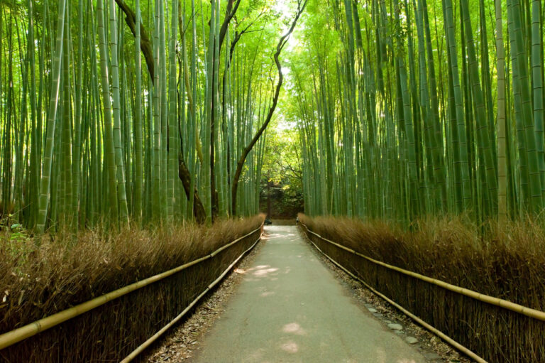 Learn the Colours in Japanese! (With Examples and Explanations) - Team ...