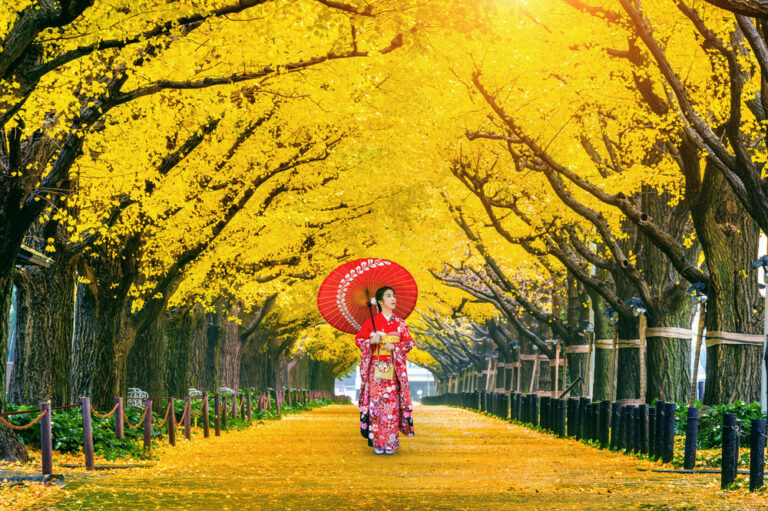 Learn the Colours in Japanese! (With Examples and Explanations) - Team ...