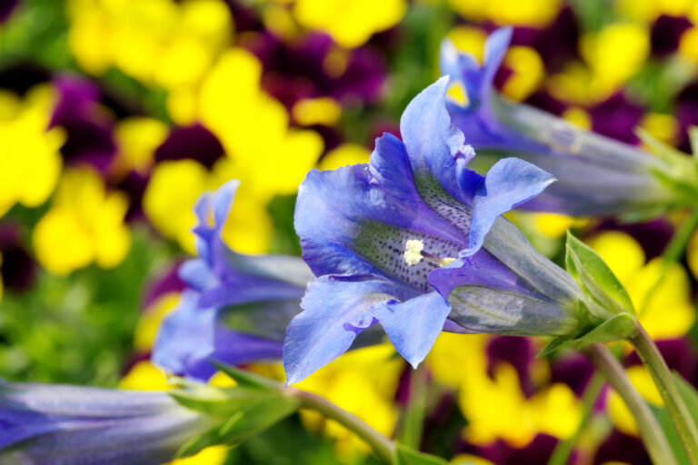 17 Traditional and Unique Japanese Colours You've Probably Never Heard ...