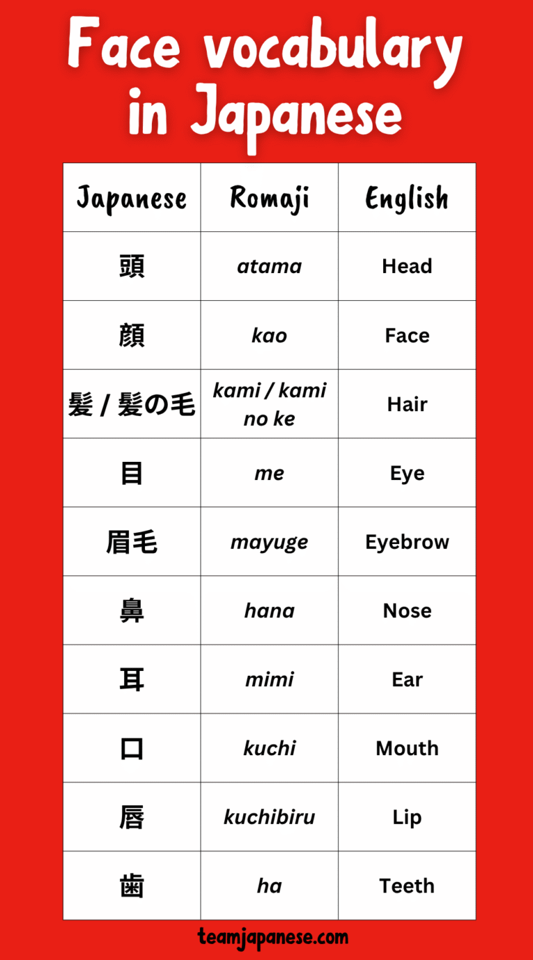 Body Parts in Japanese (Essential Vocabulary for Beginners) - Team Japanese